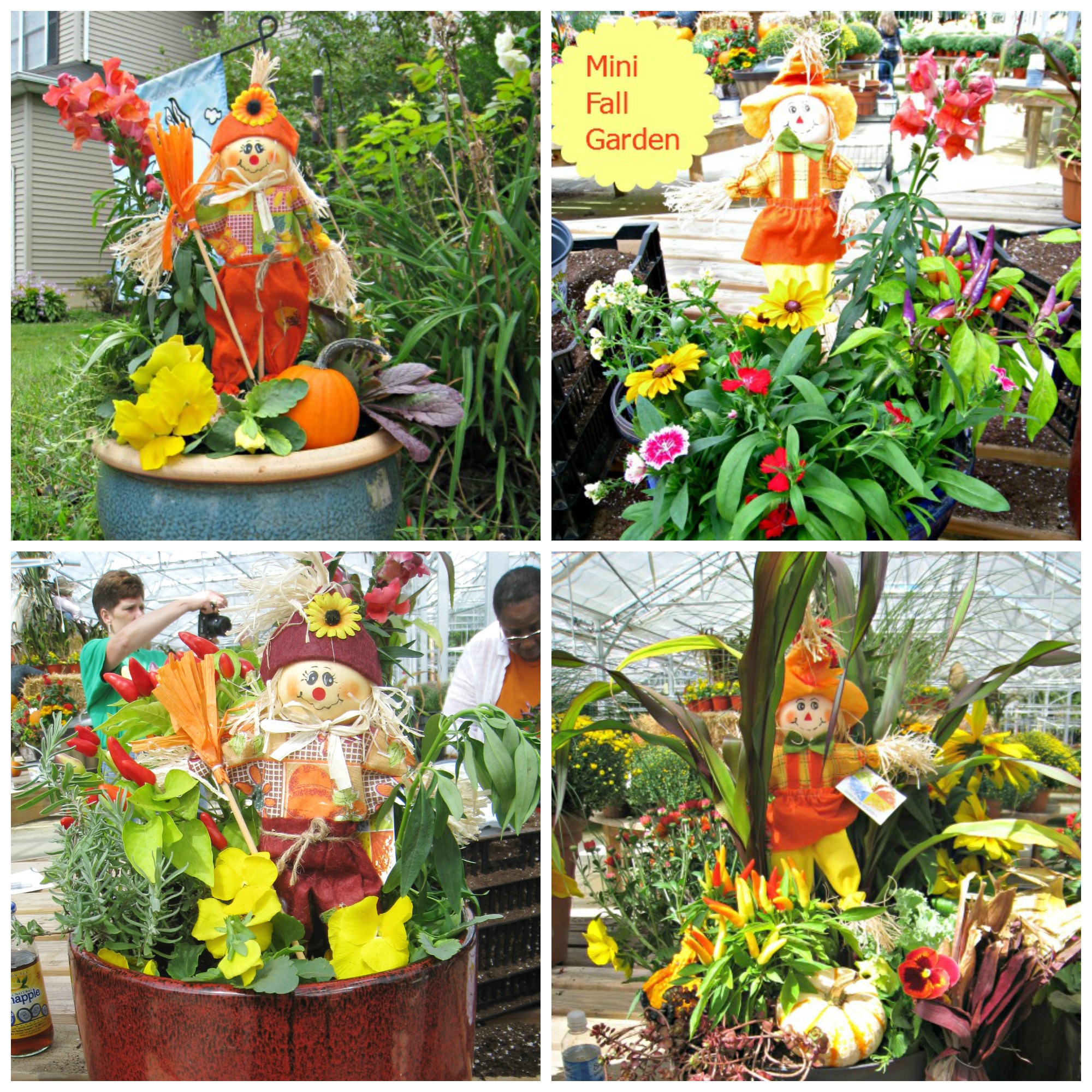 fall container garden collage