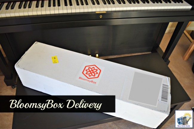 Flower Subscription Service from BloomsyBox