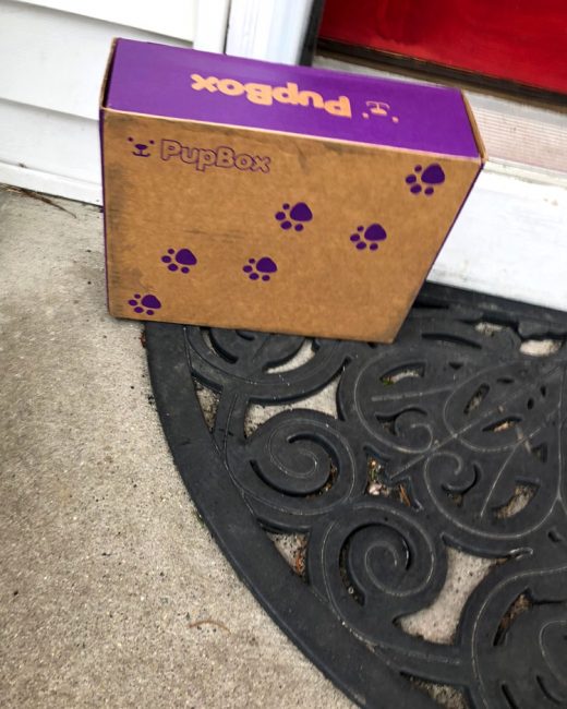 PupBox Dog Subscription Box Review