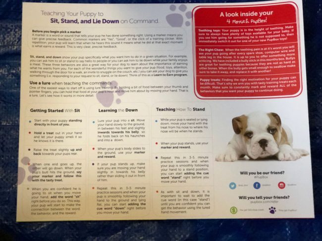 PupBox Dog Subscription Box Review