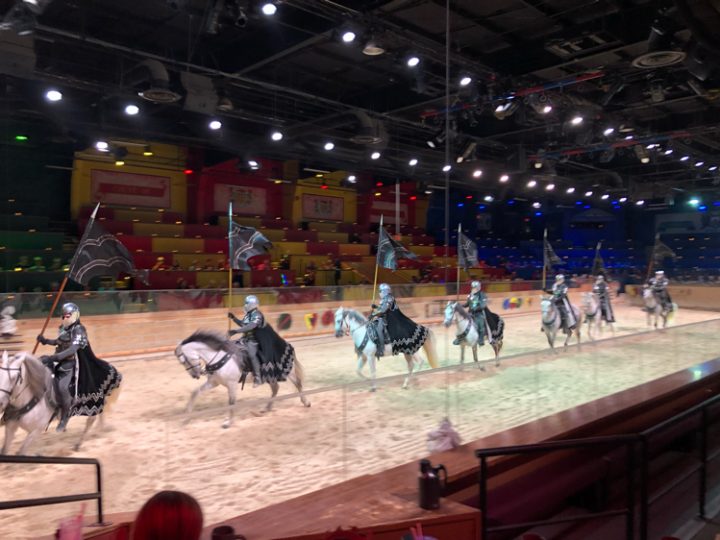 Knights, Jousts & Magnificent Horses at Medieval Times (Save on Tickets)